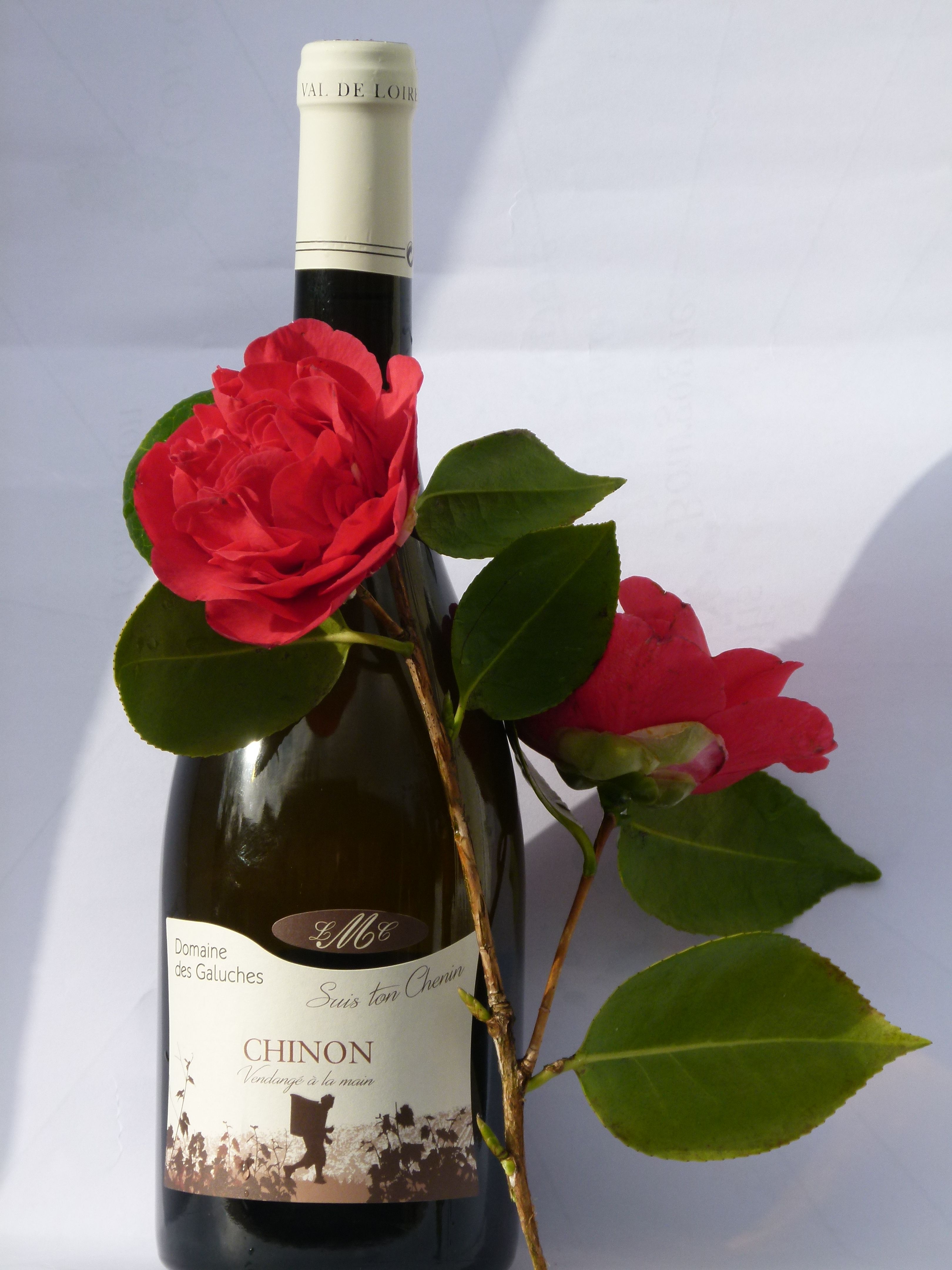 AOP CHINON BLANC AOP CHINON BLANC